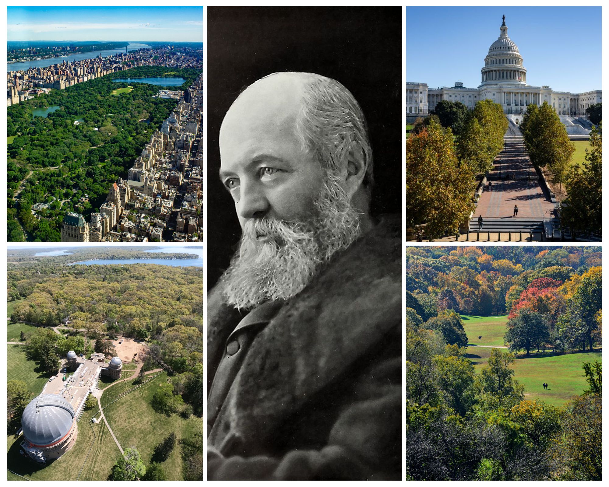 Favorite Parks Designed by Olmsted | AMERICAN HERITAGE Favorite Parks Designed by Olmsted | AMERICAN HERITAGE